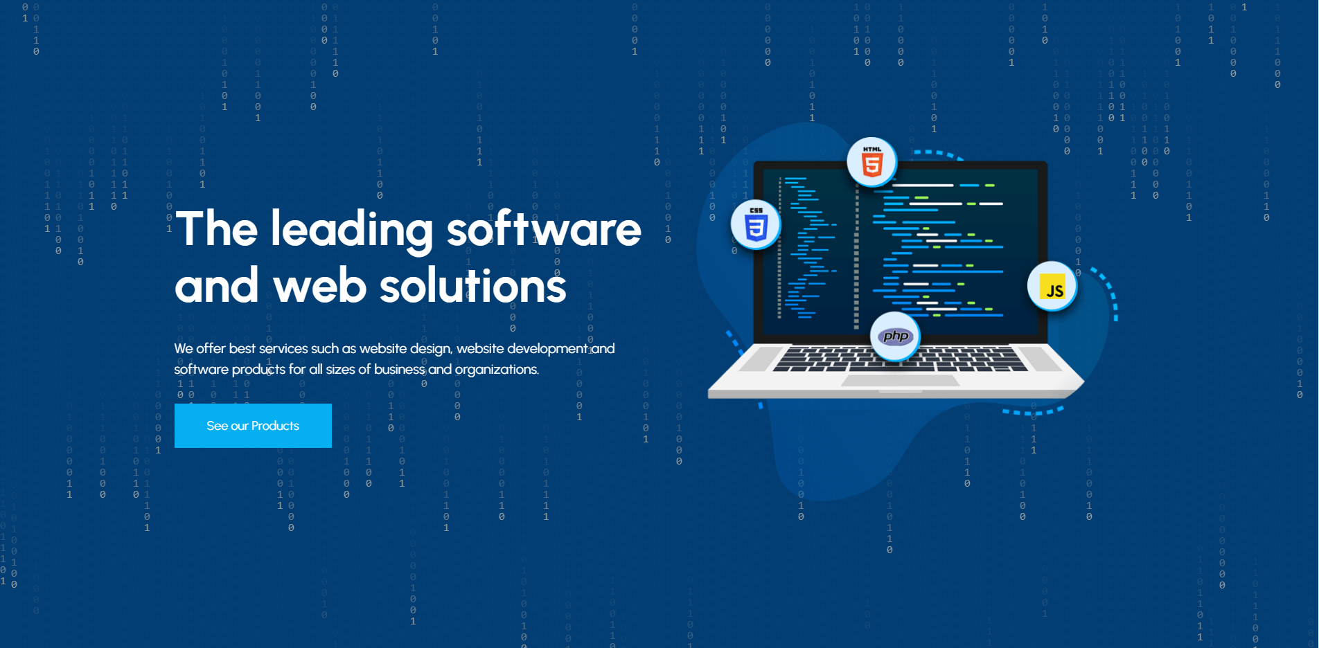 Web Development & IT Solutions Company | Project Zealous